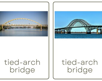 Montessori 3 Part Cards Parts of a Beetle - Etsy