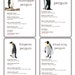 Penguin Flash Cards. Montessori Cards. Animal Fact Cards - Etsy