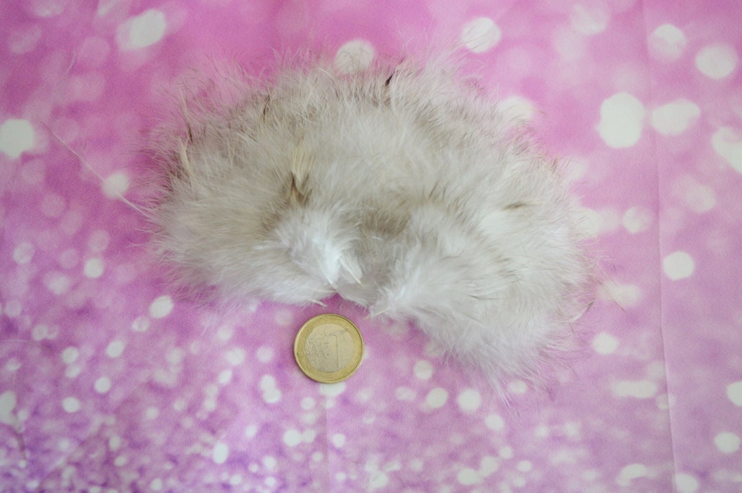 70 Pcs Silver Cuckoo Colored Feathers From Silkies for DIY Crafting ...