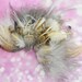 50+pcs Colourful Feathers From Quail, Silkie, Satin, Rooster and Other ...