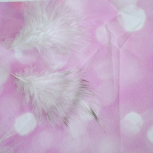 70 Pcs Silver Cuckoo Colored Feathers From Silkies for DIY Crafting ...