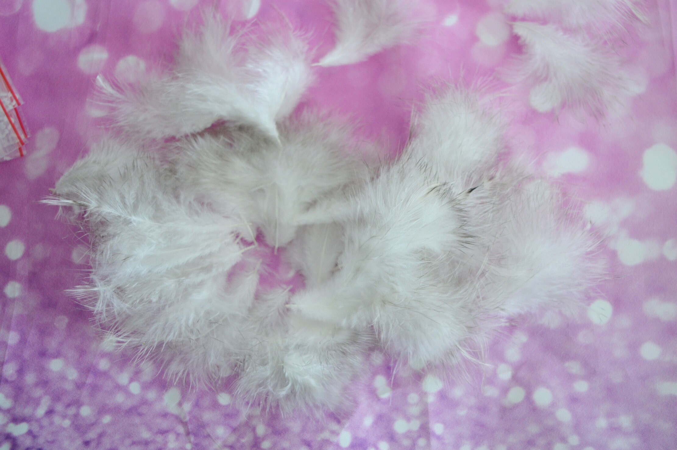 70 Pcs Silver Cuckoo Colored Feathers From Silkies for DIY Crafting ...