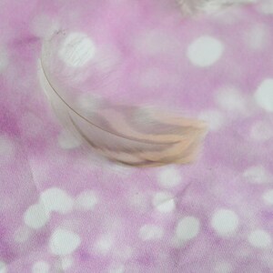50+pcs Colourful Feathers From Quail, Silkie, Satin, Rooster and Other ...