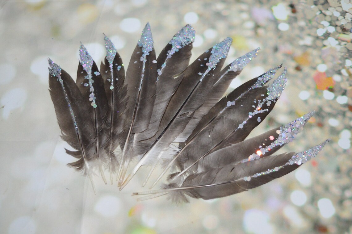 11 Long Feathers W/ Silver Glitter From Grey Cuckoo Hen for DIY ...