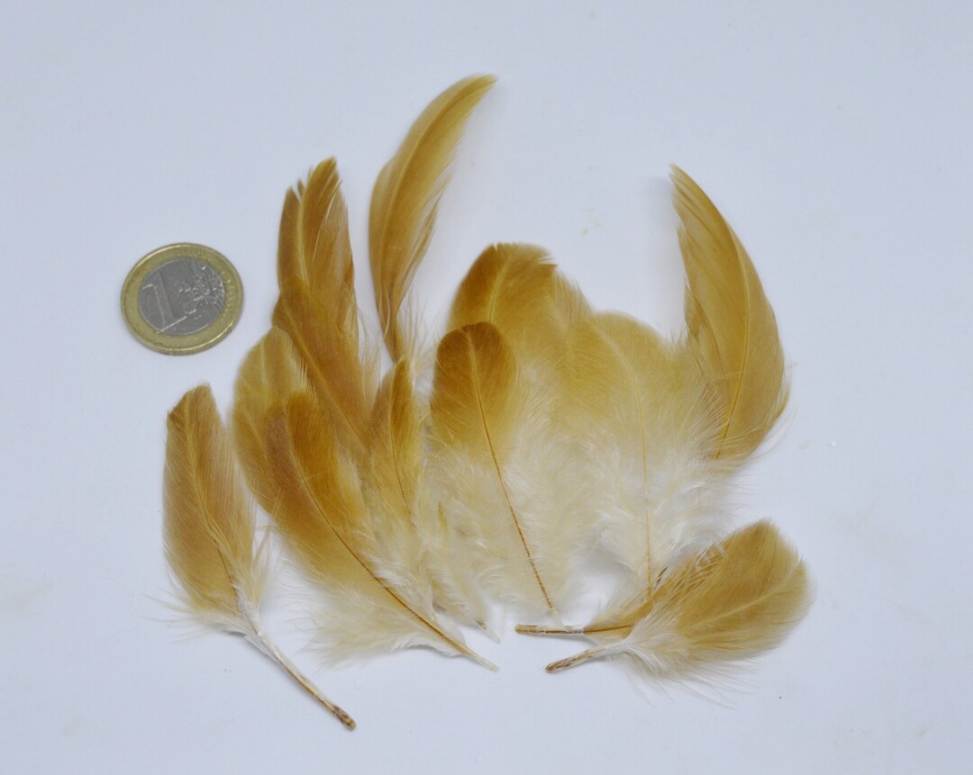 10pcs Small Red Feathers From Calimero for DIY Crafting - Natural Color ...