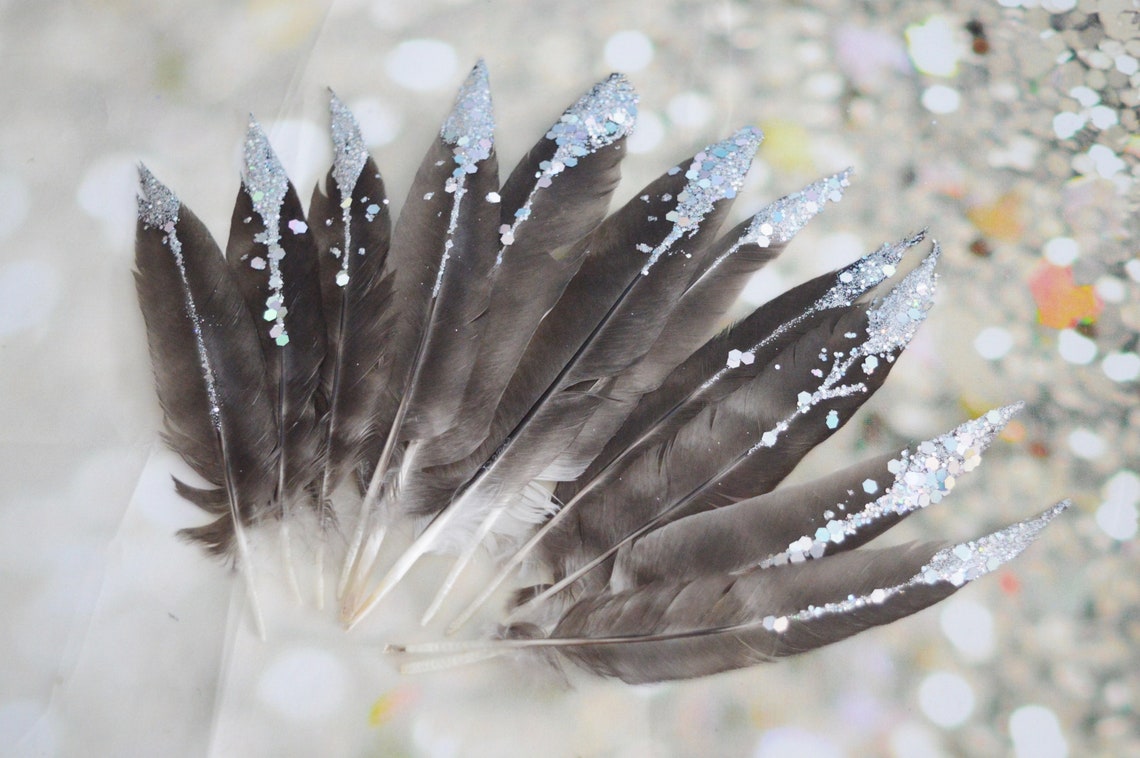 11 Long Feathers W/ Silver Glitter From Grey Cuckoo Hen for DIY ...