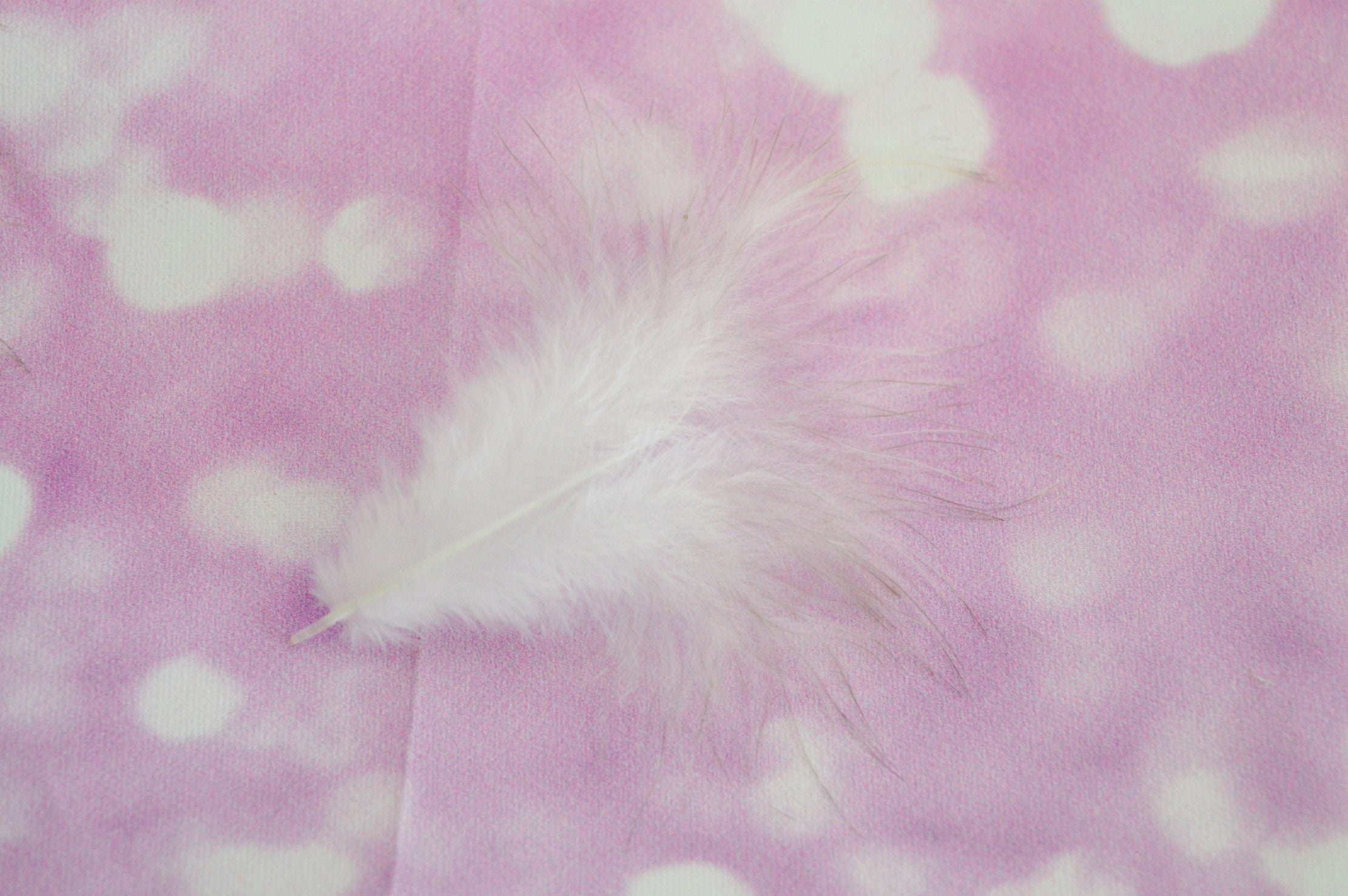 70 Pcs Silver Cuckoo Colored Feathers From Silkies for DIY Crafting ...