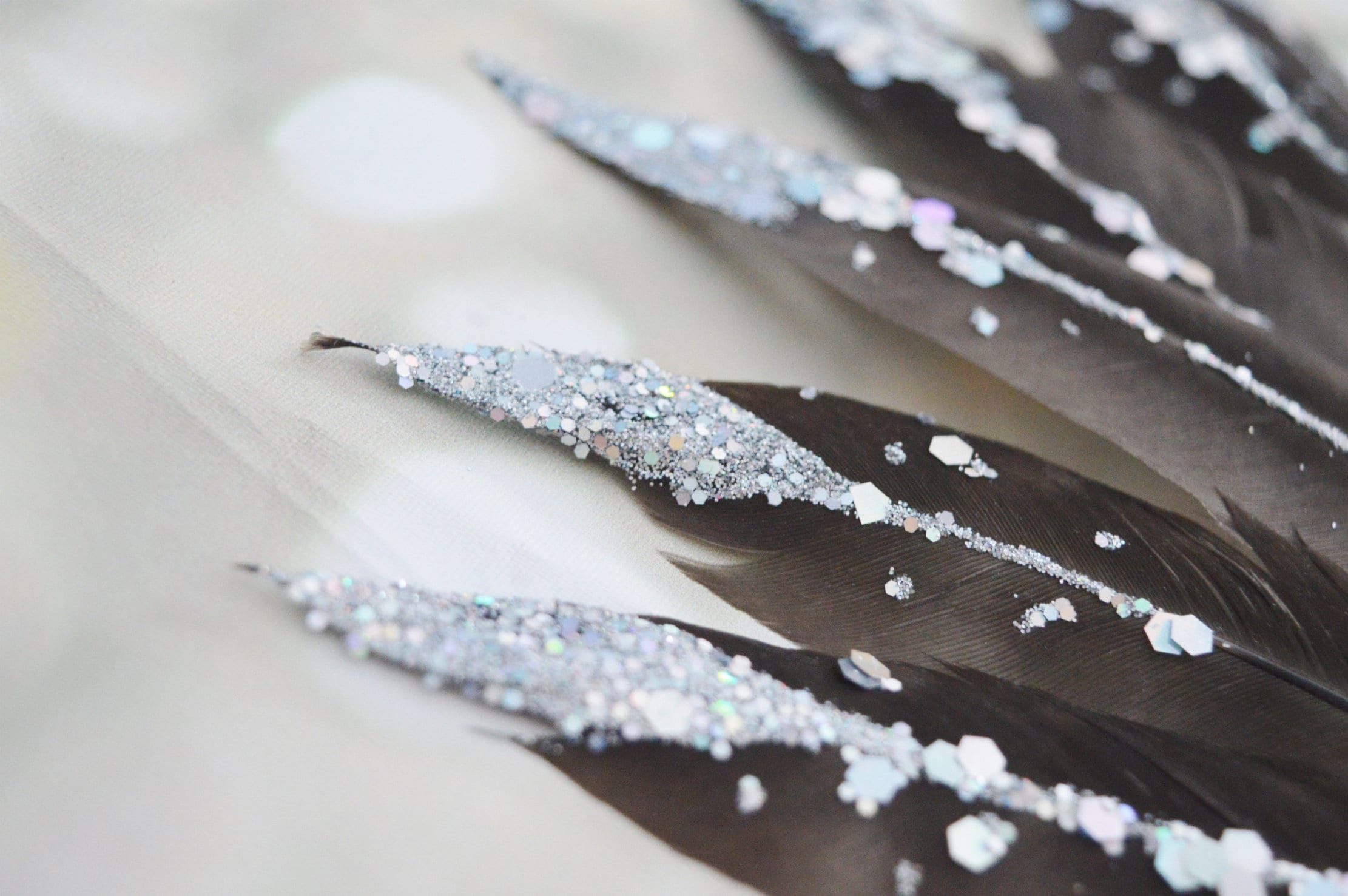 11 Long Feathers W/ Silver Glitter From Grey Cuckoo Hen for DIY ...