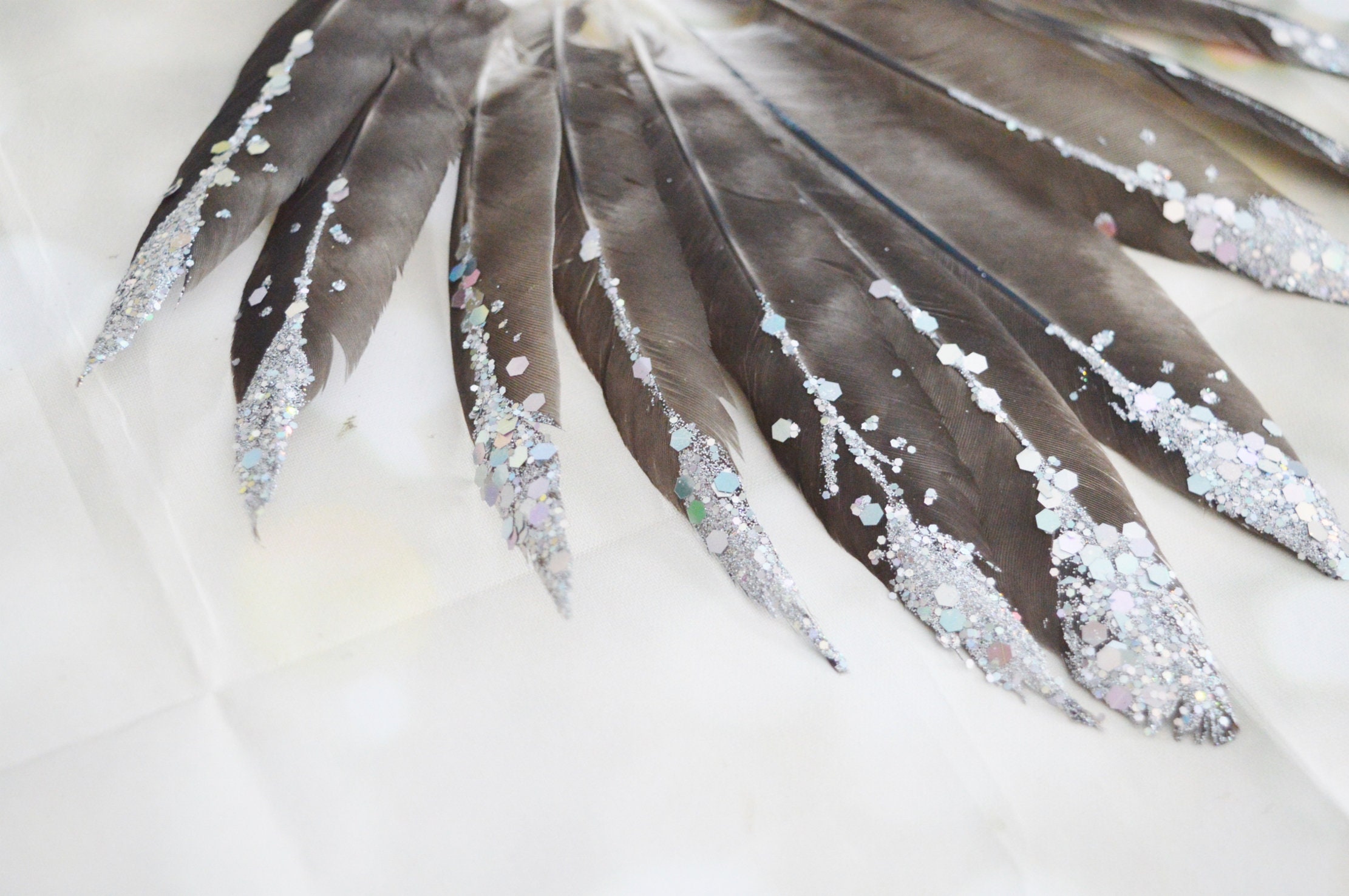11 Long Feathers W/ Silver Glitter From Grey Cuckoo Hen for DIY ...