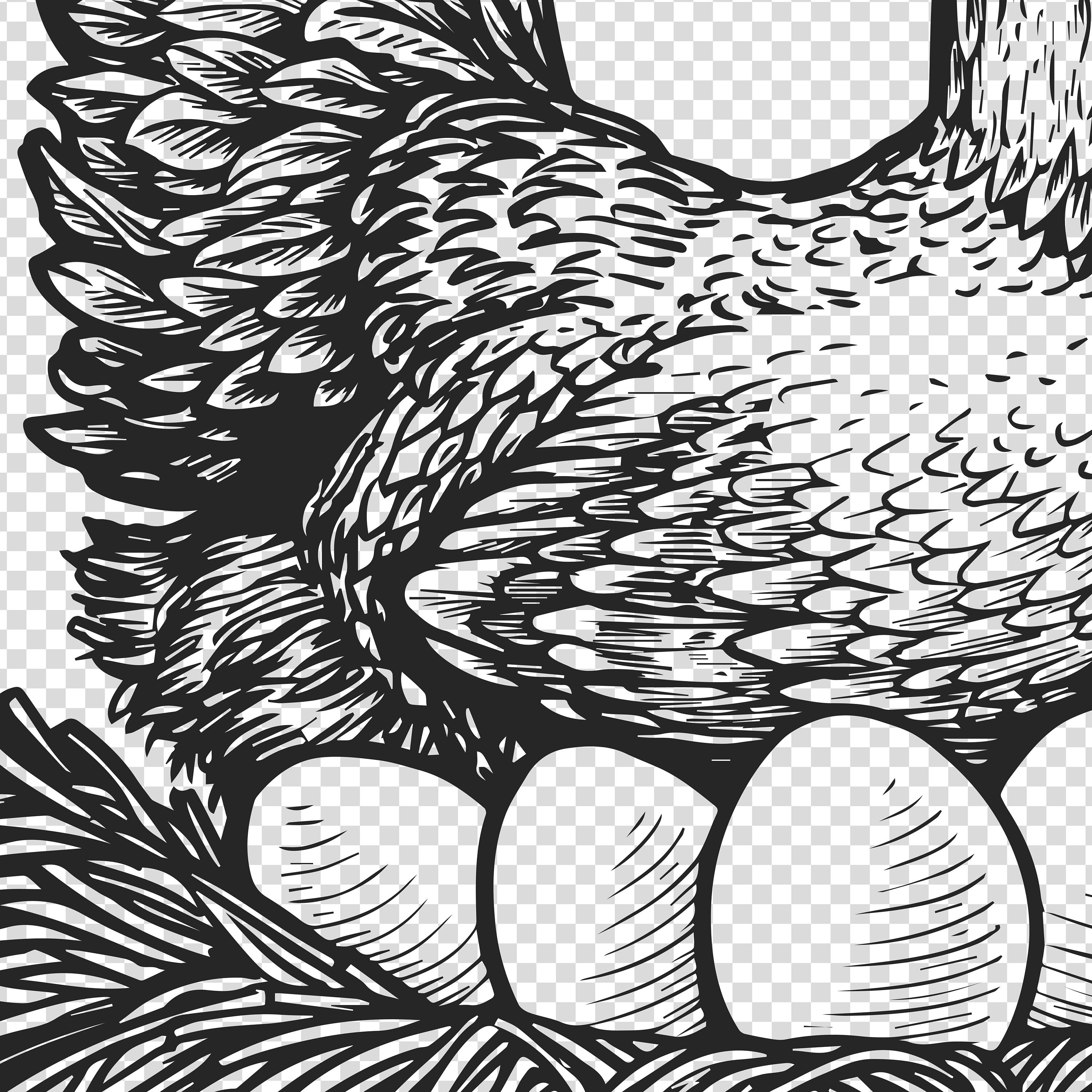 Farm Hen and Eggs Vector. Laying Hen in Nest SVG. Bird Chicken Vintage ...