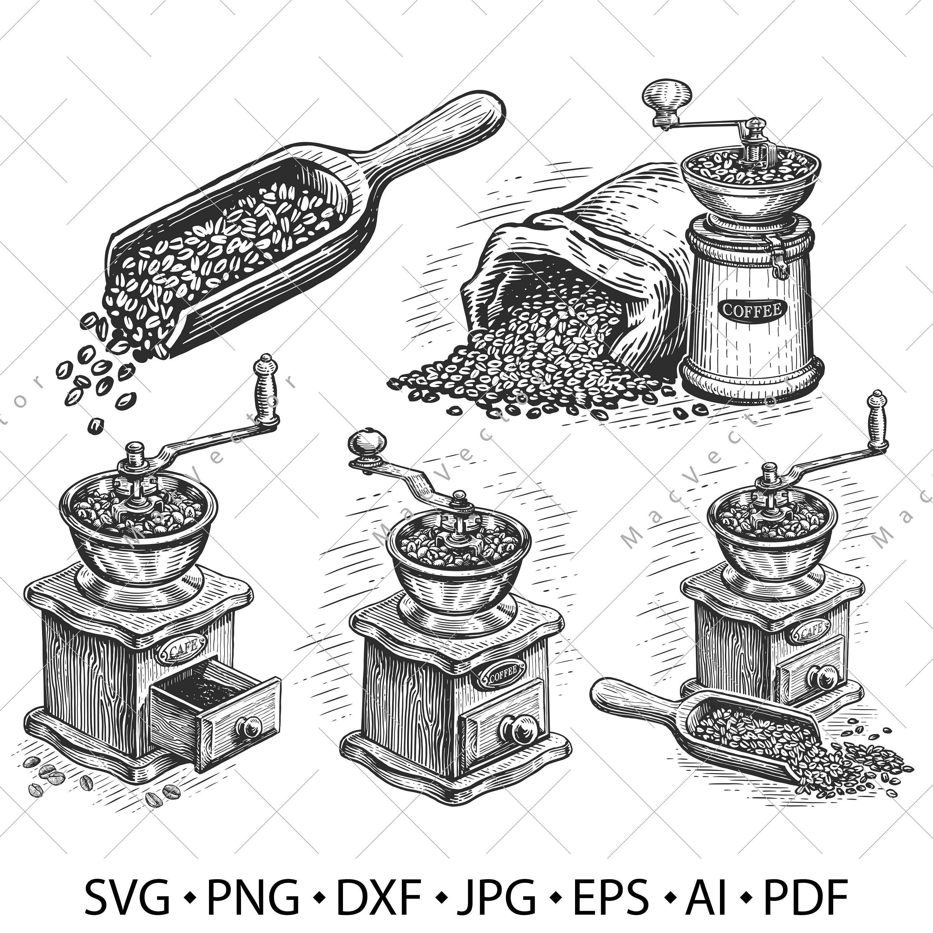 Retro Manual Coffee Grinder With Roasted Coffee Beans. Vintage Sketch ...
