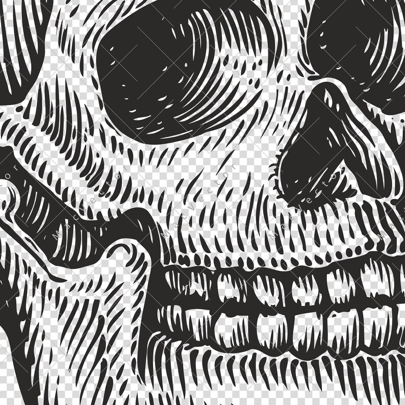 Skull Skeleton Vector. SVG Jolly Roger Drawn in Engraving - Etsy