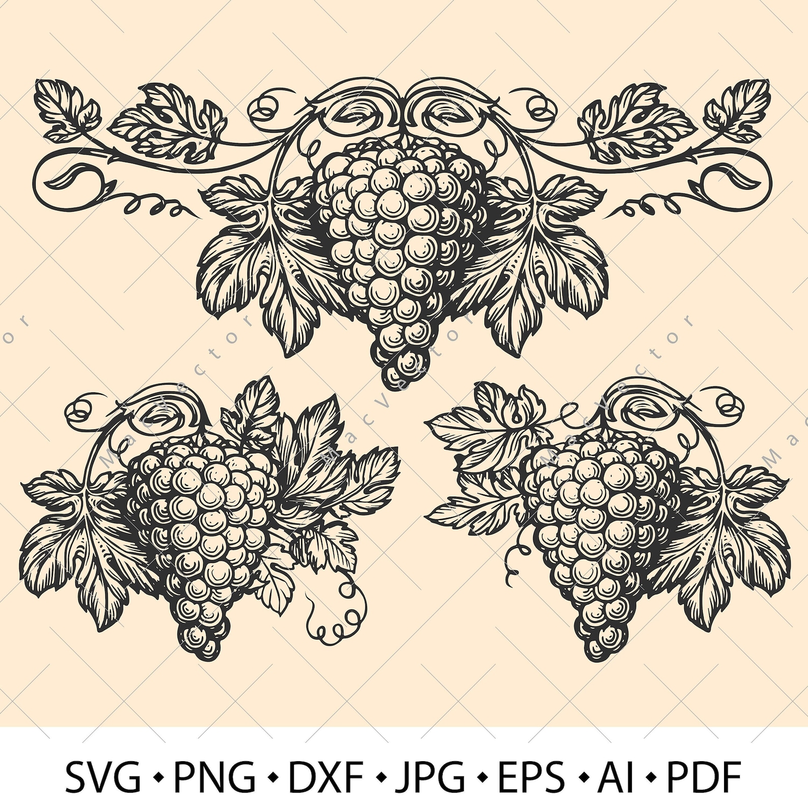 Grapevine Pattern Set Sketch. Vining Plant With Grapes, Tendrils and Leaves SVG. Vineyard ...