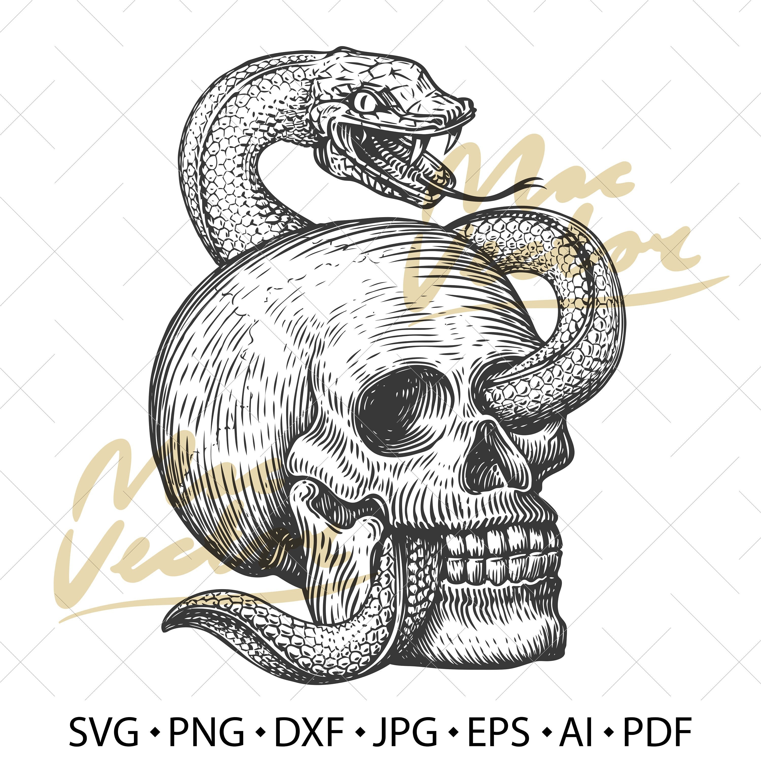 Human Skull and Poisonous Snake, Vector. Halloween, SVG. Pirate Jolly ...