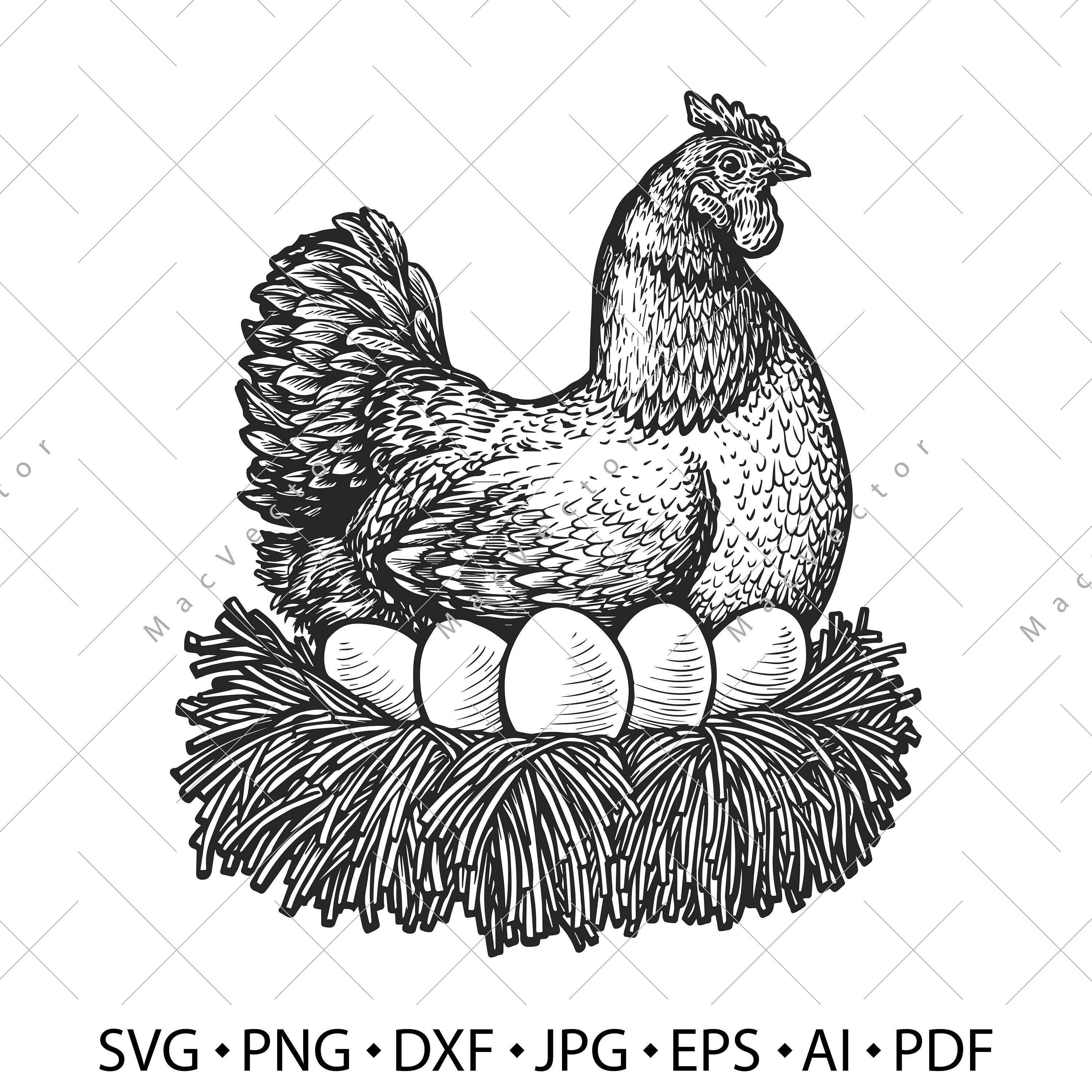 Farm Hen and Eggs Vector. Laying Hen in Nest SVG. Bird Chicken Vintage ...