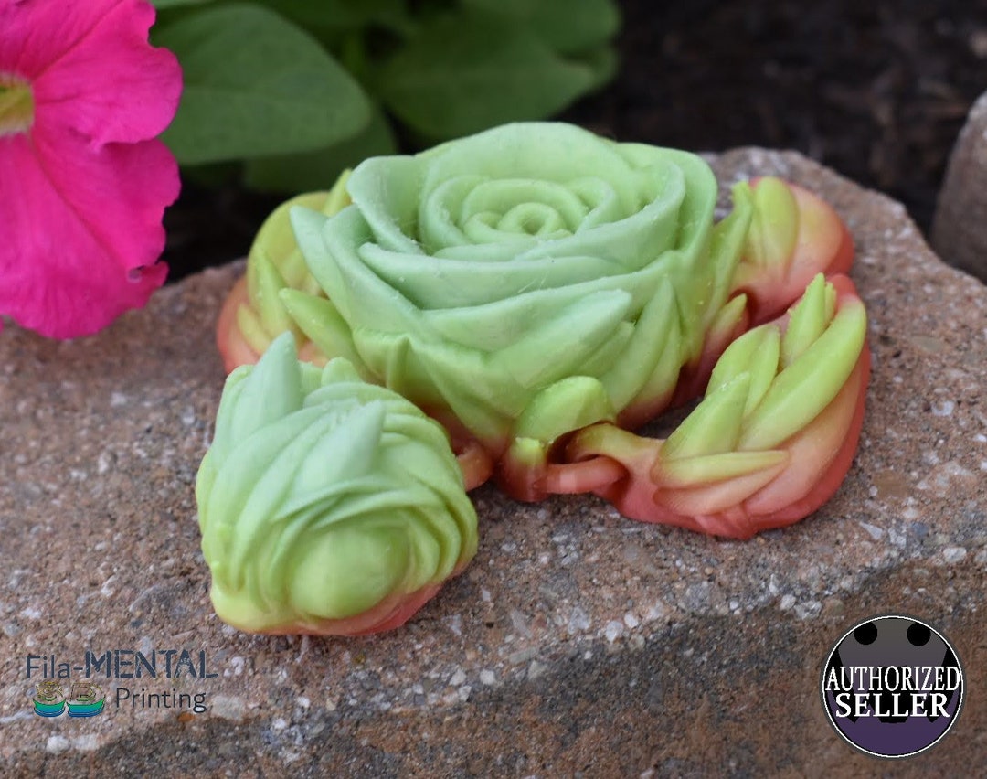 Rose Turtle 3D Print Cinderwing3d Exclusive - Etsy