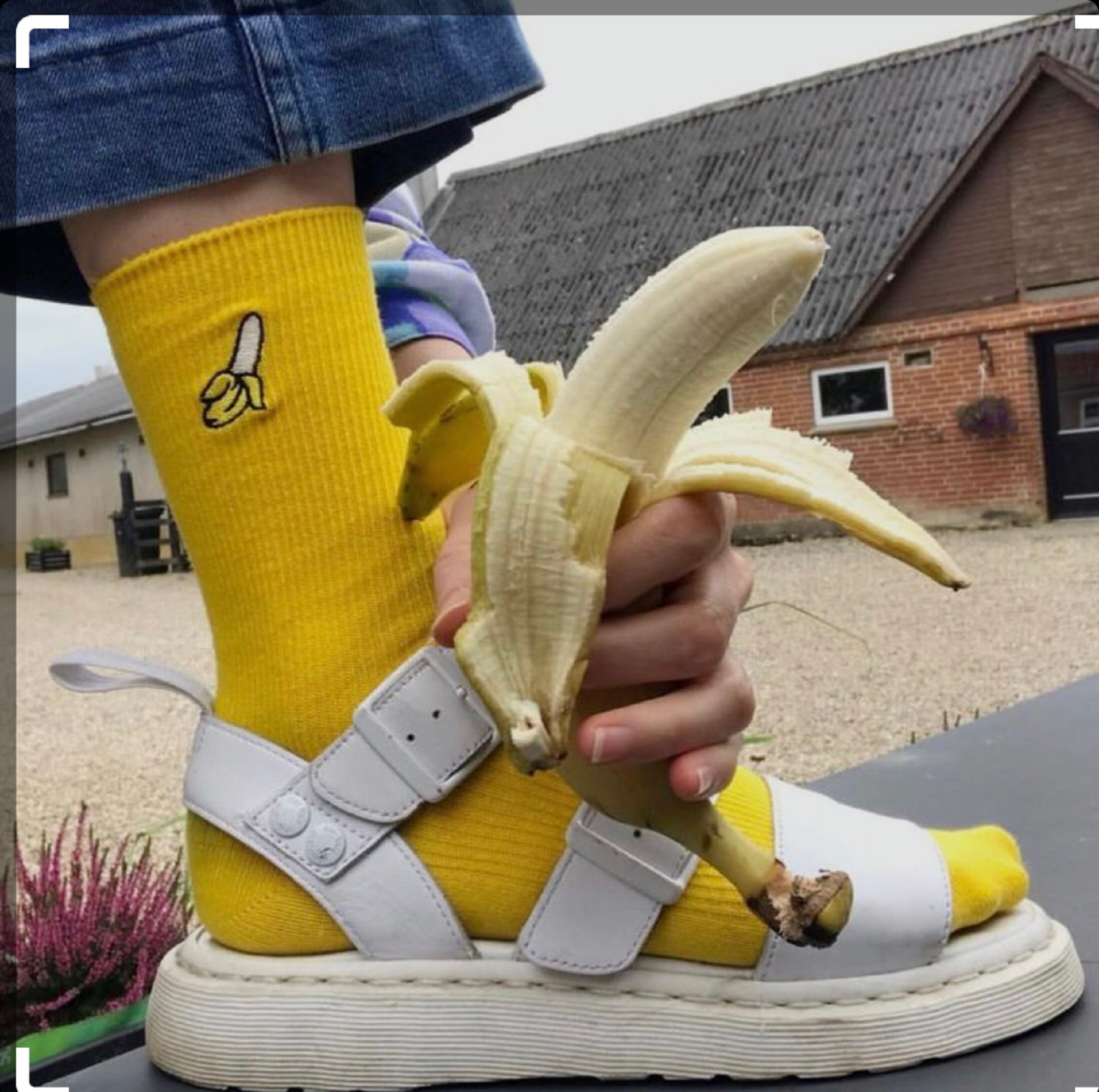 10 Pairs Cute Fruits Embroidered Cotton Socks Funky Socks - Etsy