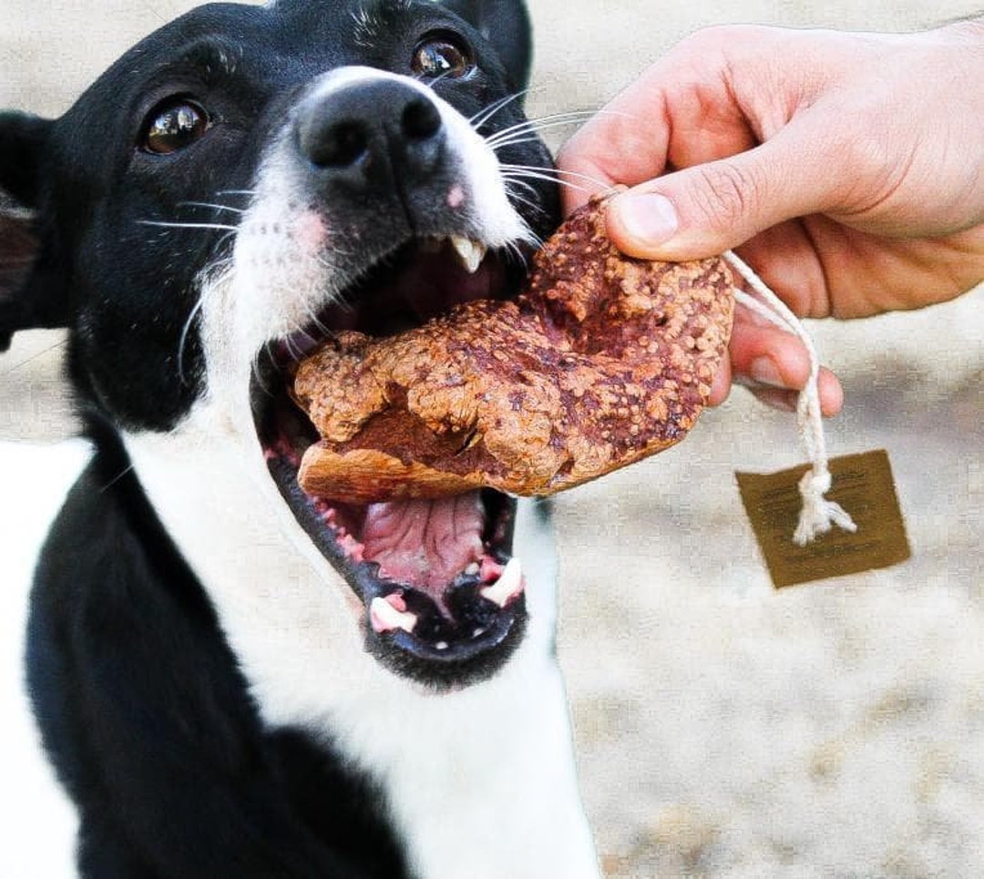 ROOT R2 (7-11kg) Natural Dog Toy - Chew Toy - Hand Made - Gifts for ...