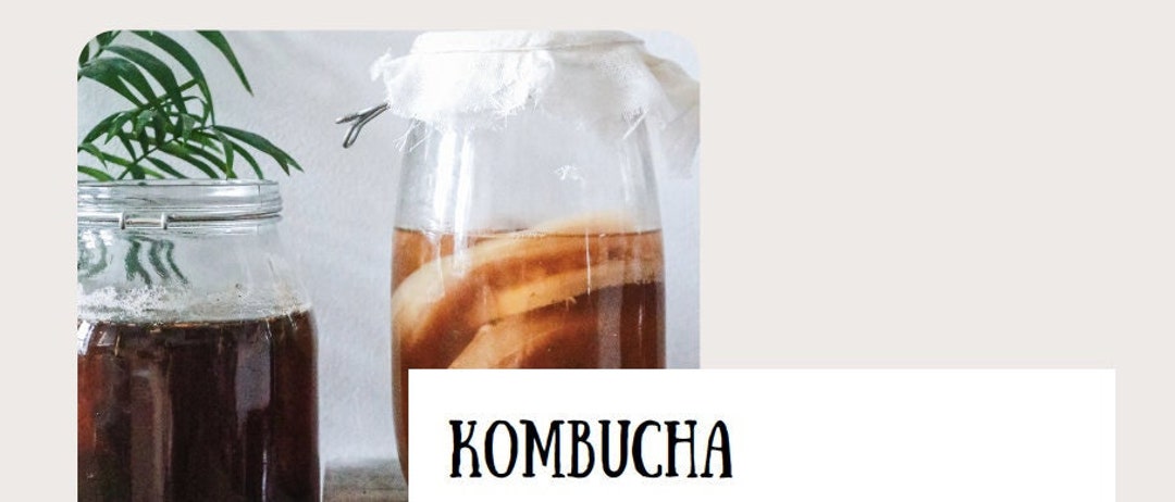 The Complete Guide to Brewing Kombucha - With Recipes and Step-by-step ...