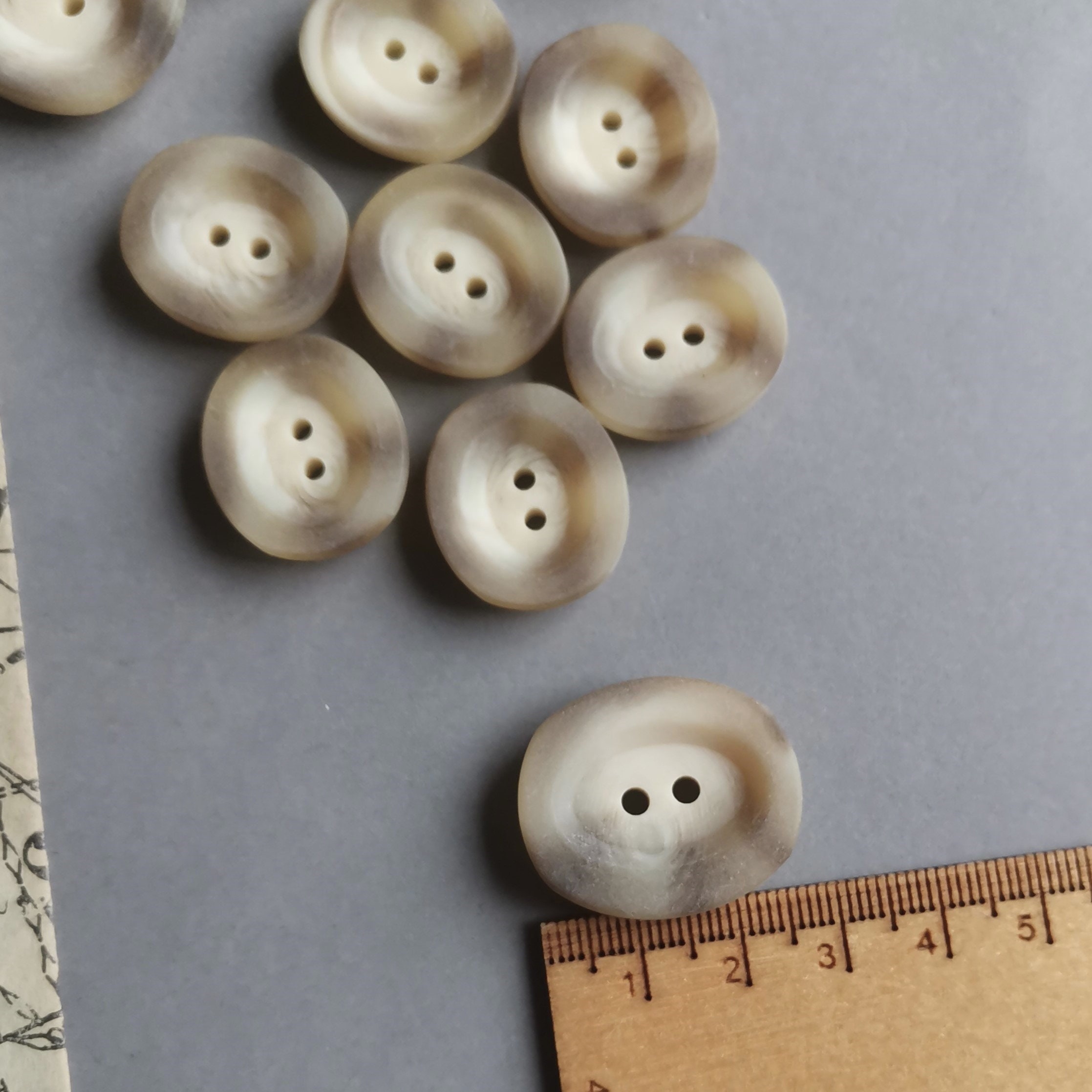 Ivory Beige Oval Buttons for Coat Jacket Trench Large 2 Hole Buttons ...