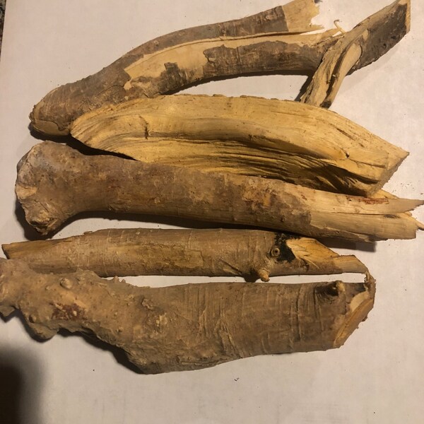 Chewing Stick Nigerian - Etsy