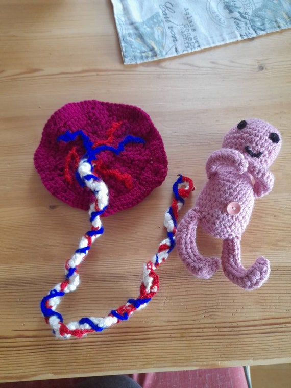 Uterus Uterus Placenta Mother's Cake Birth Preparation | Etsy