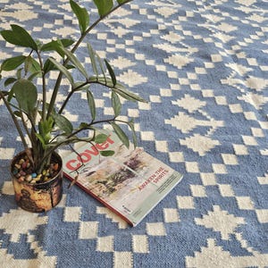 Handwoven Modern Flatweave Area Rug, Cotton Wool Blue and White Rug ...
