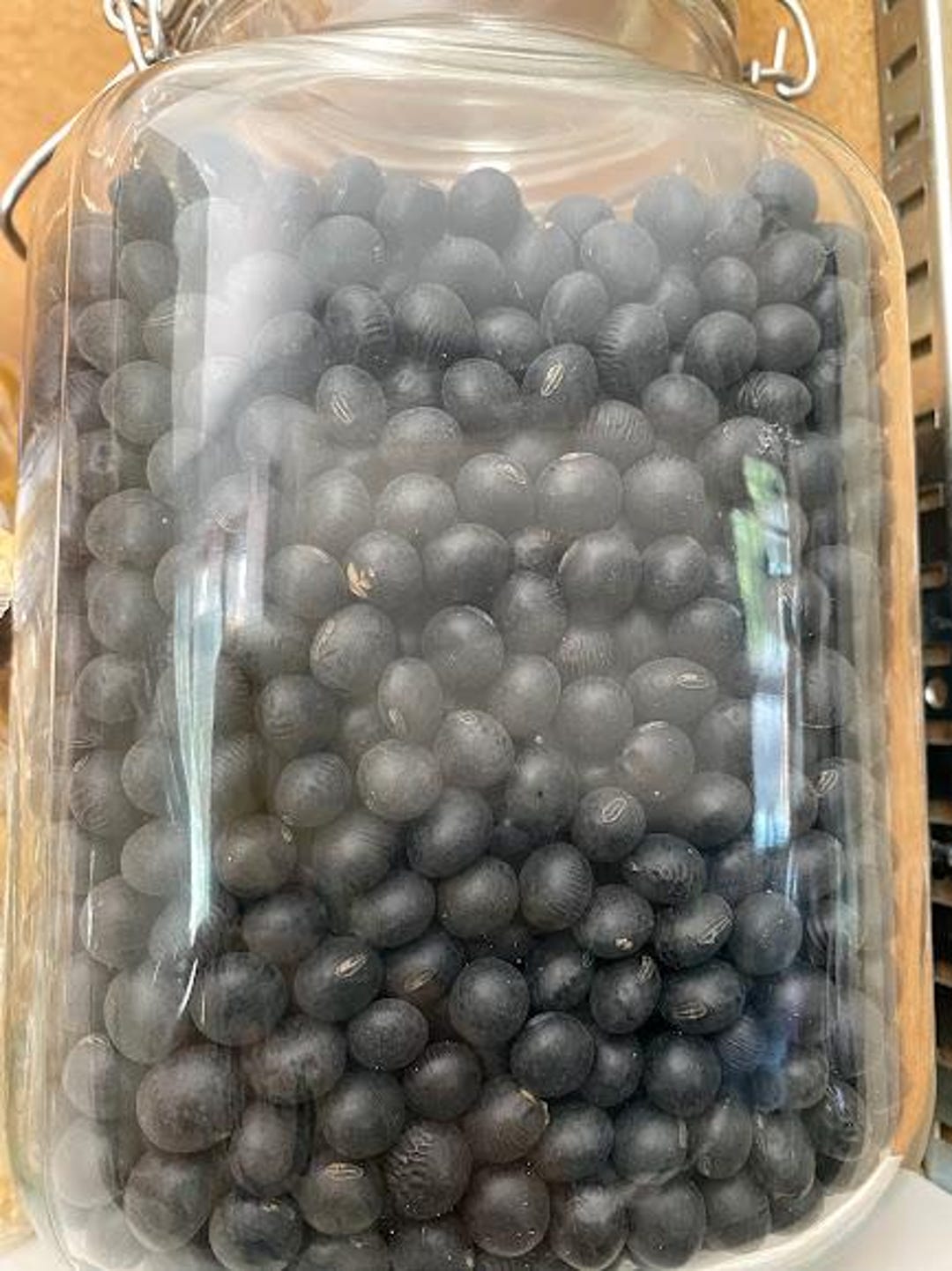 Hokkaido Black Edamame 15 Seeds: Rare Japanese Soybeans - Etsy