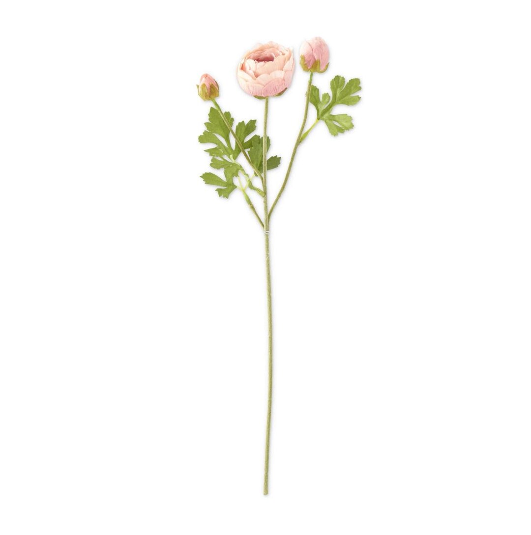 21 Inch Light Pink Real Touch 3-head Ranunculus Flower Stem, Spring ...