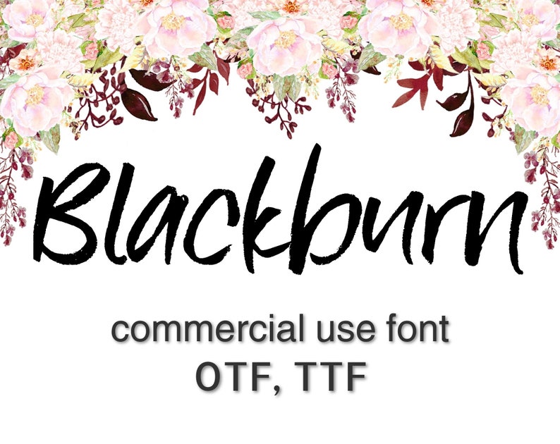 500 Fonts Bundle Script Fonts Pack Serif Fonts Set Wedding - Etsy