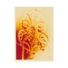 Chromogenic Color Print on RC Paper Glossy //detail Brass Woman Face ...