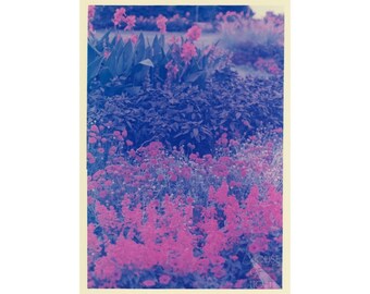 Chromogenic Color Print on RC Paper Lustre // Double Exposure Flowers ...