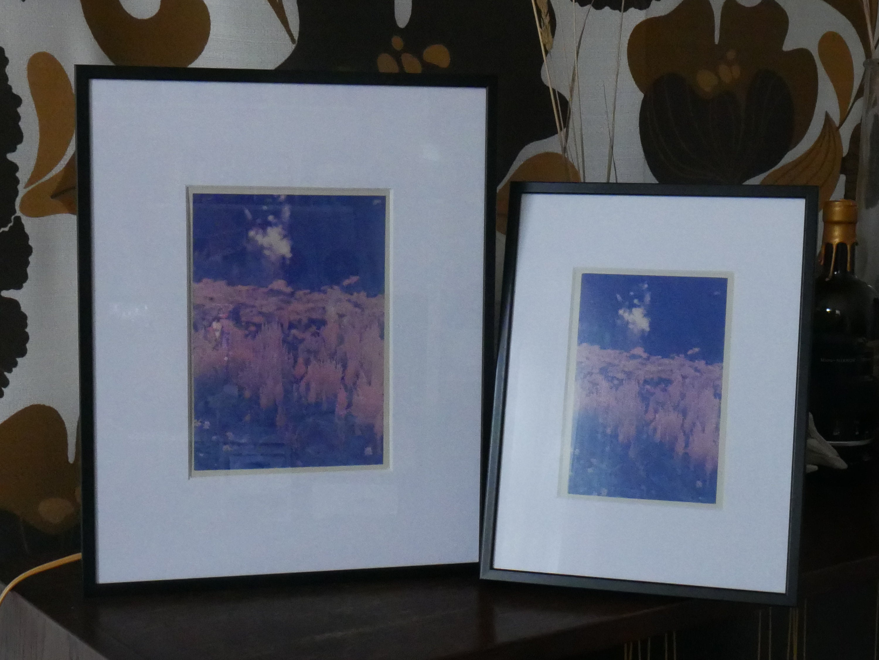 Chromogenic Color Print on RC Paper Lustre // Yellow Flowers // Analog ...