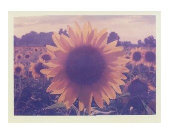 Chromogenic Color Print on RC Paper Glossy //abandoned House #1 ...