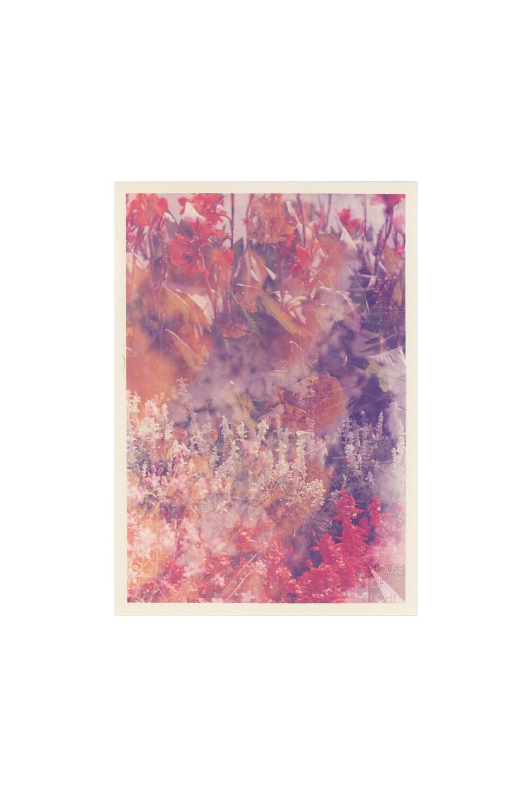 Chromogenic Color Print on RC Paper Lustre // Double Exposure Flowers ...