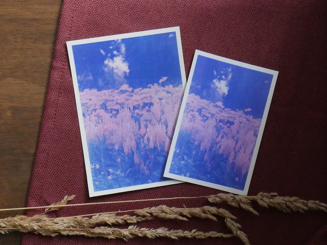 Chromogenic Color Print on RC Paper Lustre // Yellow Flowers // Analog ...