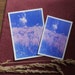Chromogenic Color Print on RC Paper Lustre // Yellow Flowers // Analog ...