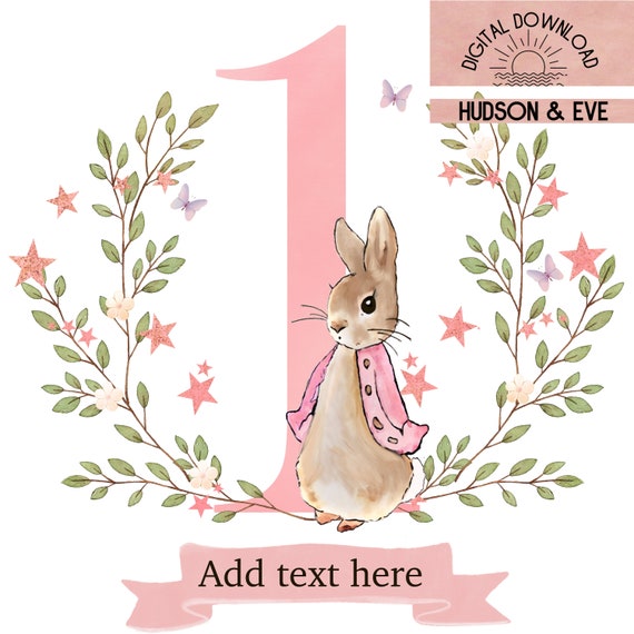 Clipart Flopsy Bunny 1st Birthday . PNG Flopsy Bunny 1st - Etsy