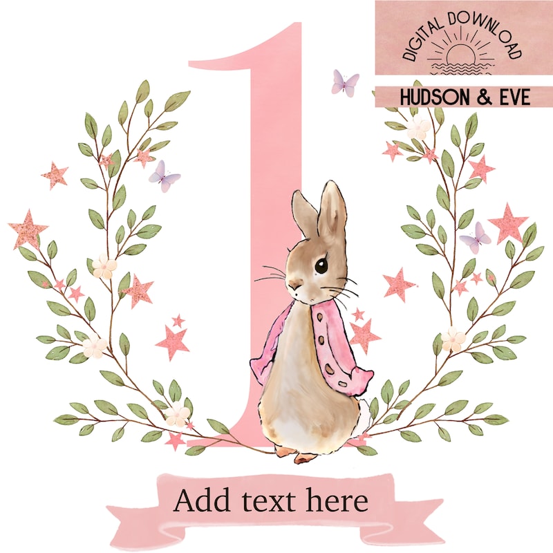 Peter Rabbit Clipart - Etsy