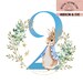 Clipart Peterrabbit 2nd Birthday. PNG Peterrabbit 2nd Birthday. Clipart ...