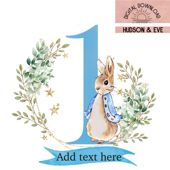 Clipart Peter Rabbit. PNG Peter Rabbit. PNG 1st Birthday. | Etsy