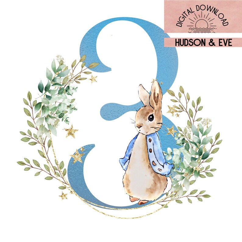 Clipart Peterrabbit. Clipart 3rd Birthday. PNG Peter Rabbit Birthday ...