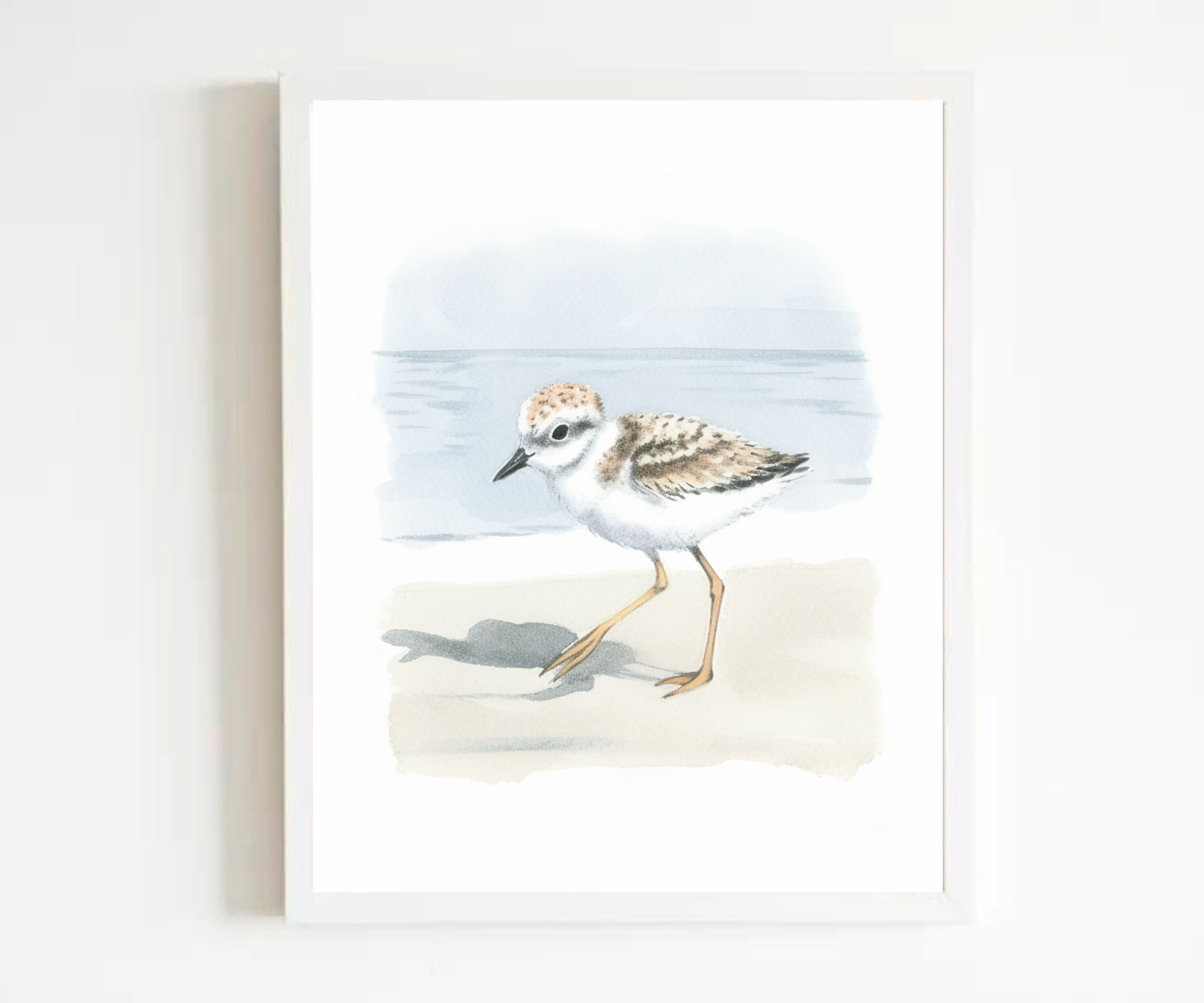 Piping Plover Snowy Plovers Art Print Set of 2 Birds Art Printable ...