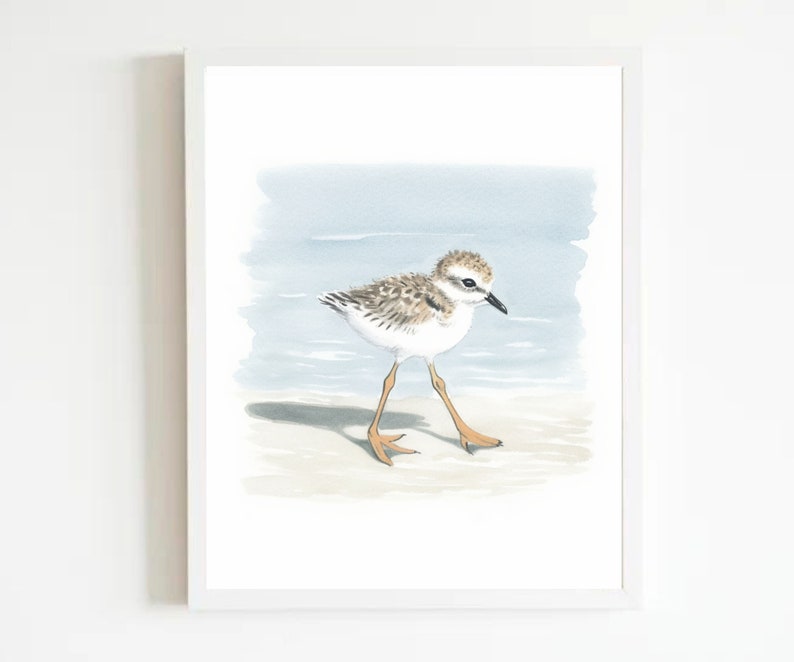 Piping Plover Snowy Plovers Art Print Set of 2 Birds Art Printable ...