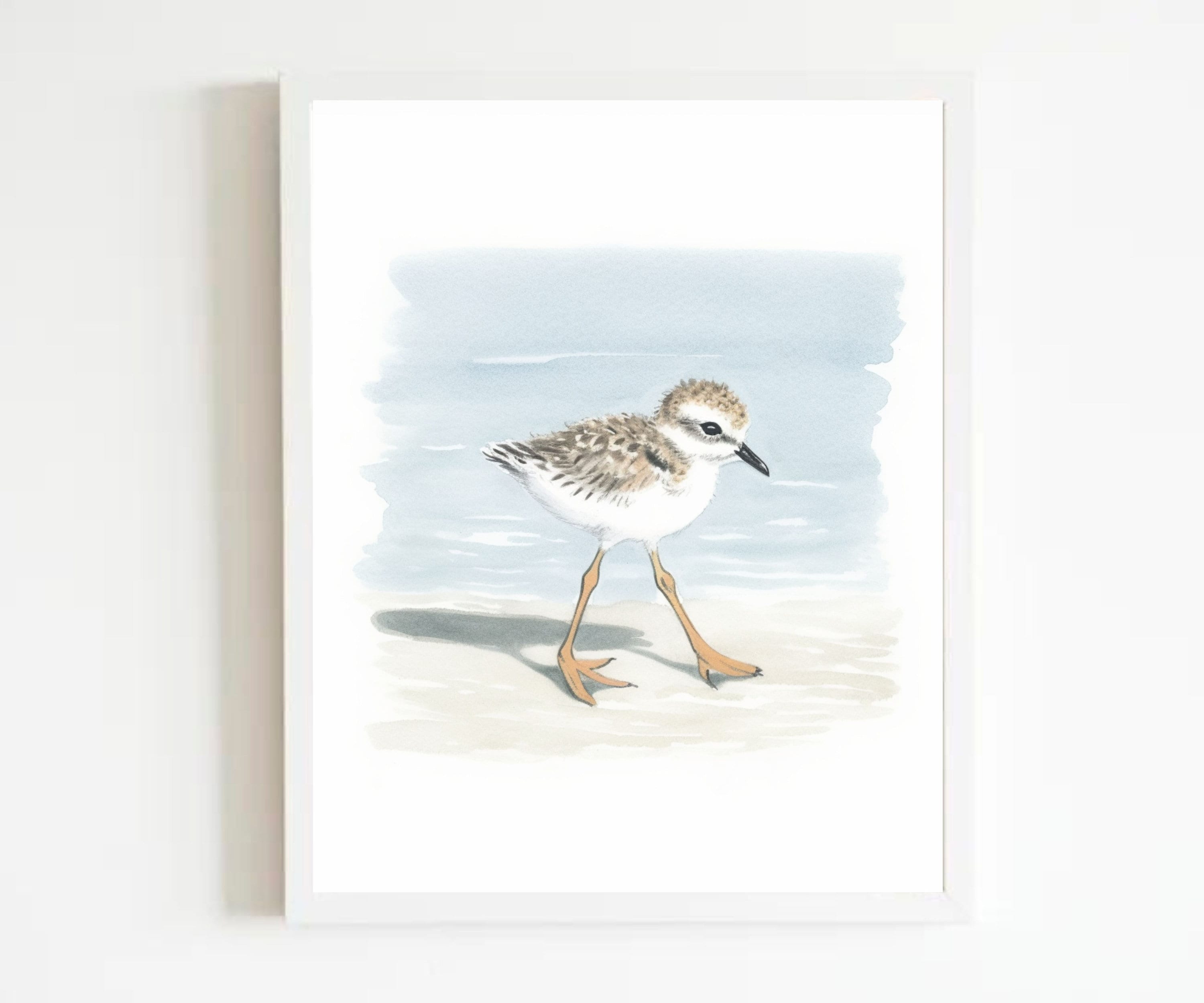 Piping Plover Snowy Plovers Art Print Set of 2 Birds Art Printable ...