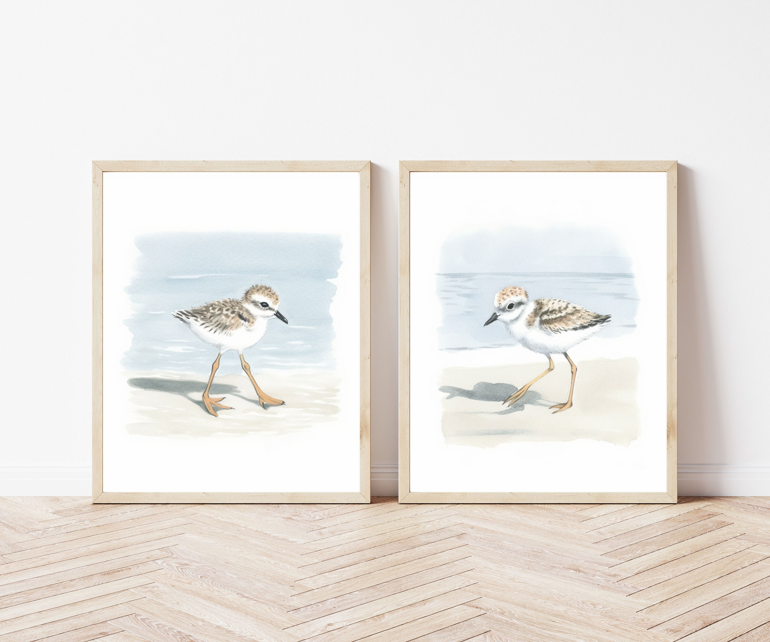 Piping Plover Snowy Plovers Art Print Set of 2 Birds Art Printable ...