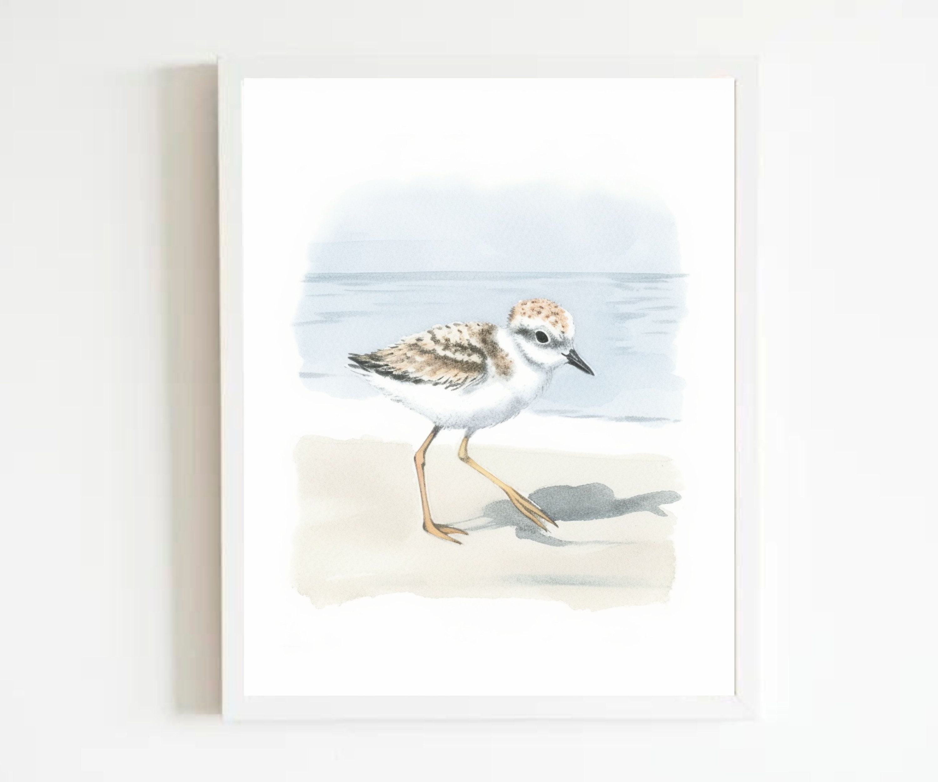 Piping Plover Snowy Plover Art Print Birds Art Printable Coastal Wall ...