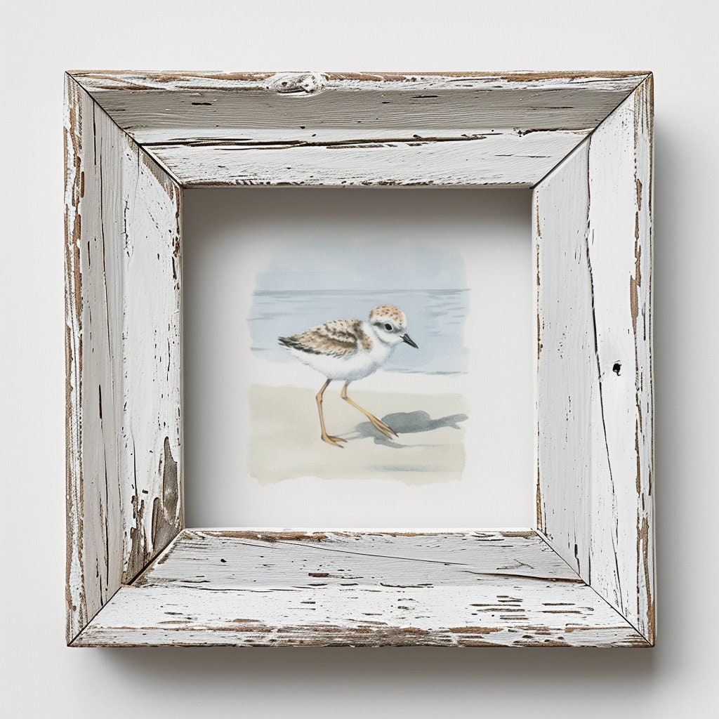 Piping Plover Snowy Plover Art Print Birds Art Printable Coastal Wall ...