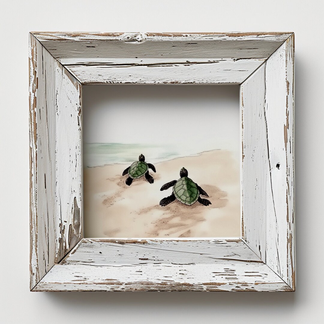 Mailed Art Print Baby Sea Turtle Art Sea Turtle Art Print Coastal Wall ...