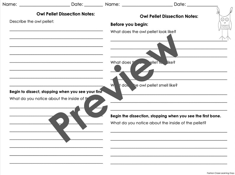 Owl Pellet Dissection - Pre, During and Post Notes and Graphic ...